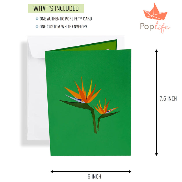 Tropical Waterfall Pop Up Card – PopLife